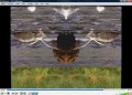How to Mirror Video in VLC Media Player - Tech Junkie