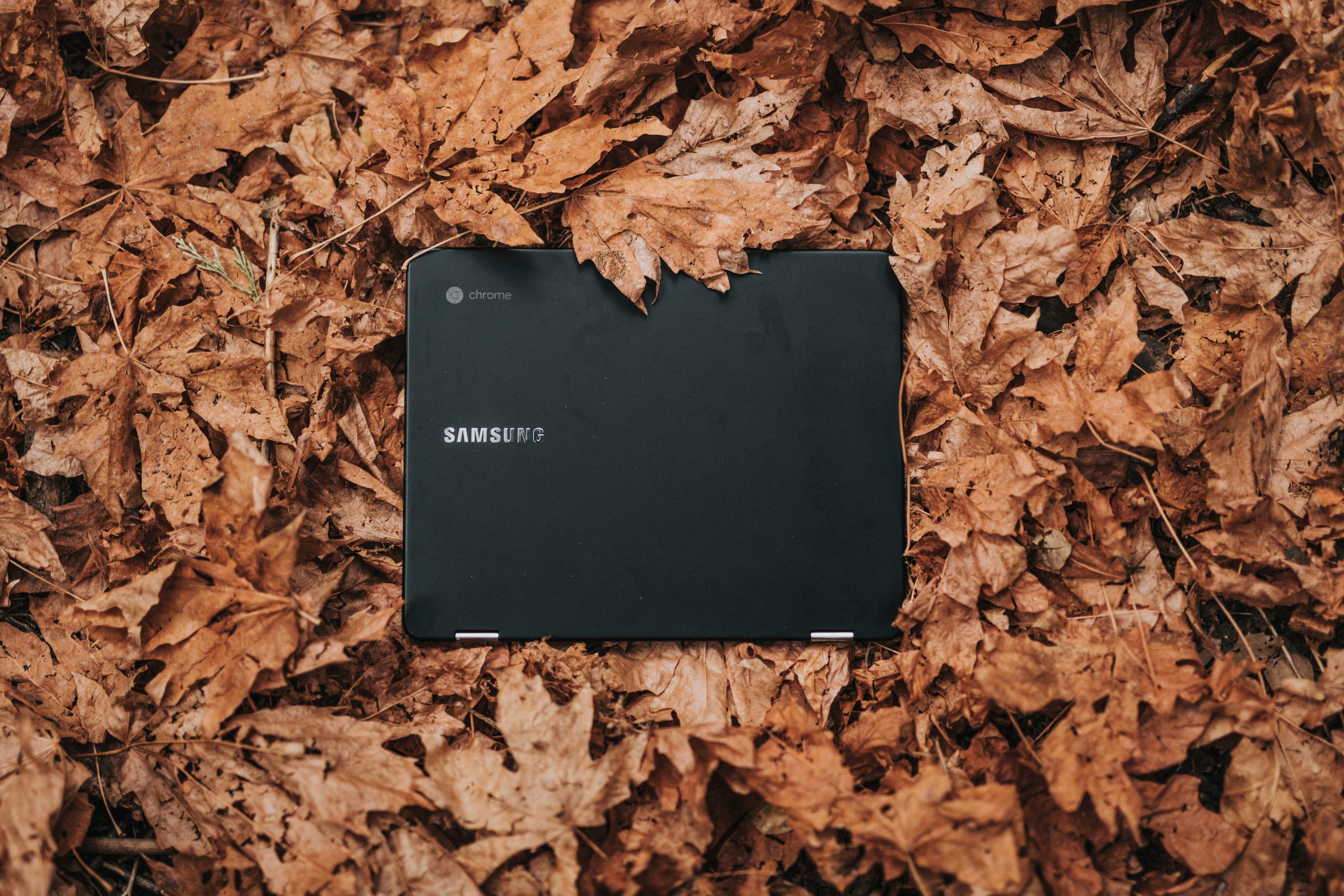 How To Check The Specs On Your Chromebook Tech Junkie How To Check The Specs On Your Chromebook Tech Junkie