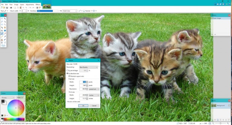 The Best Sites to Resize Images Online - Tech Junkie