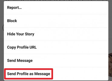 How To View a Private Instagram Account - Tech Junkie