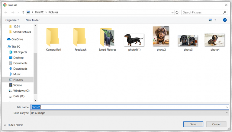 How To Download the Images from a Google Doc - Tech Junkie