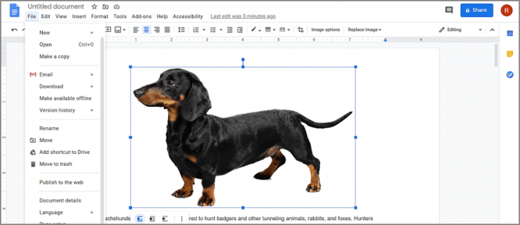How To Download the Images from a Google Doc - Tech Junkie