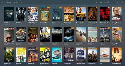 How To Use Plex with Roku - Tech Junkie