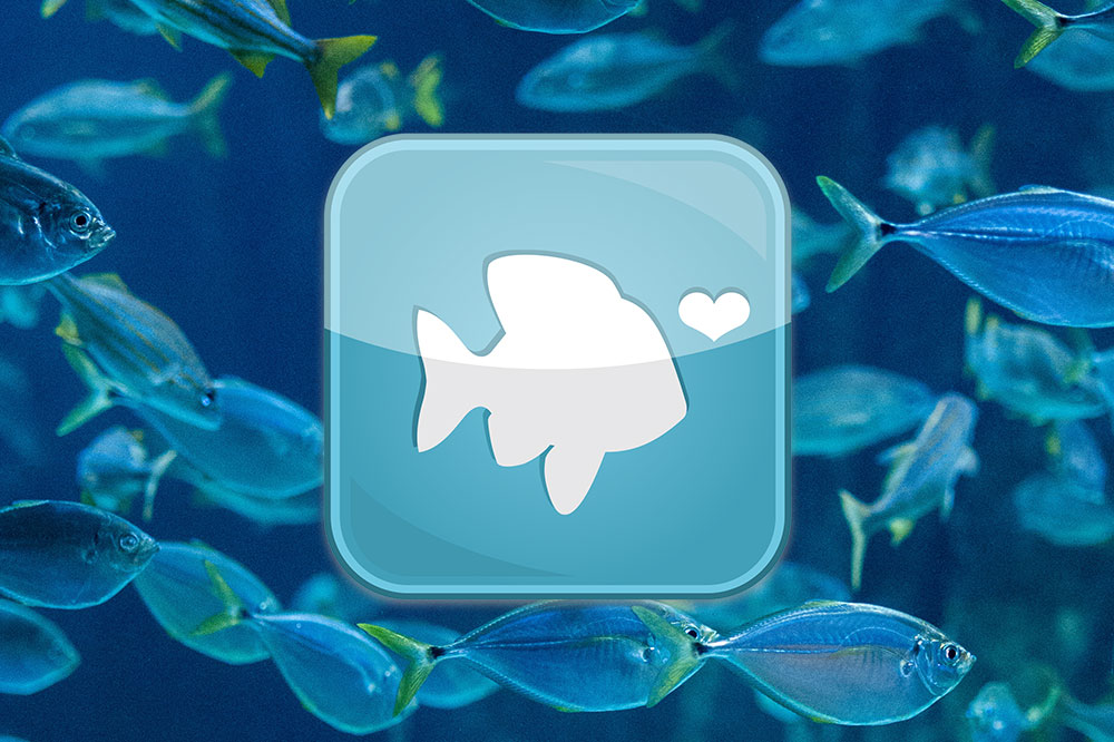 How To Change Location on POF - Tech Junkie