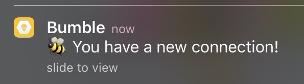 Will Bumble Send Email Notifications When I Get Matches? - Tech Junkie