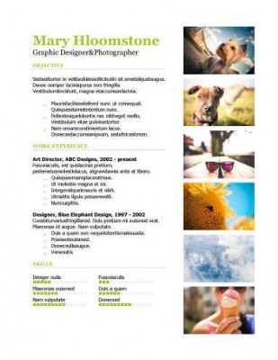 30 Free Professional Looking Resume Templates - Tech Junkie