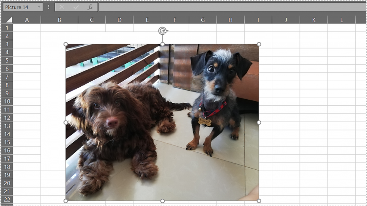 How To Insert an Image or Picture into an Excel Cell - Tech Junkie