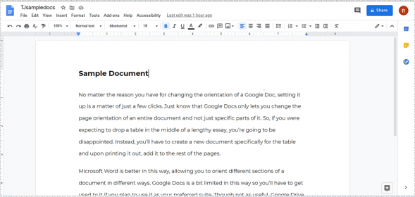 How To Automatically Number Pages in Google Docs - Tech Junkie