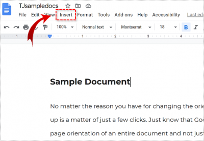 How To Automatically Number Pages in Google Docs - Tech Junkie