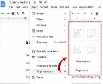 How To Automatically Number Pages in Google Docs - Tech Junkie