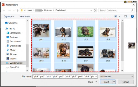 How To Make a Photo Collage in Microsoft PowerPoint - Tech Junkie
