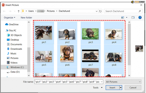 How To Make a Photo Collage in Microsoft PowerPoint - Tech Junkie