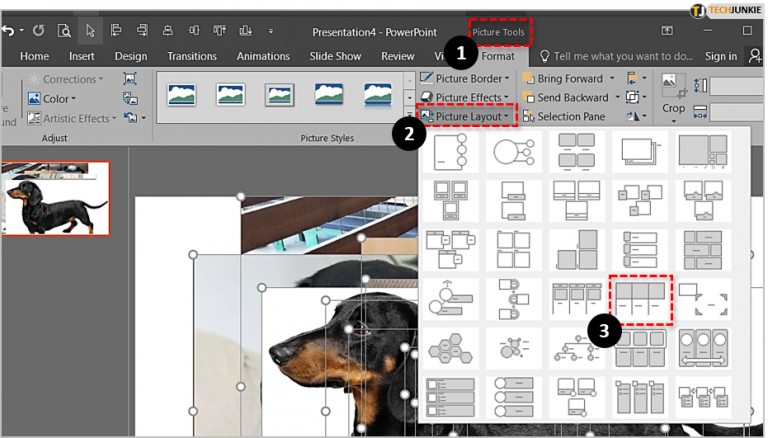 How To Make a Photo Collage in Microsoft PowerPoint - Tech Junkie