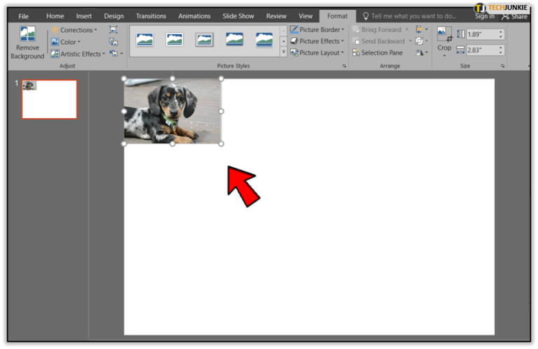 How To Make a Photo Collage as Your Desktop Background - Tech Junkie