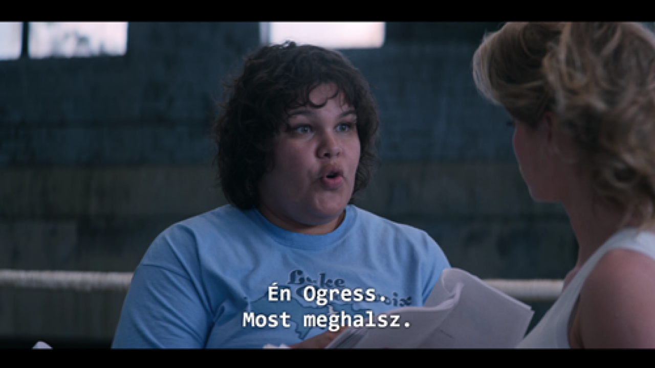 How To Use Netflix Custom Subtitles - Tech Junkie