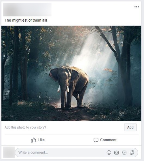 How to Edit a Photo After Posting on Facebook - Tech Junkie