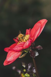 How To Tell Who Super Swiped You in Bumble - Tech Junkie