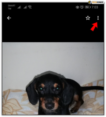 How to Add Captions to Google Photos - Tech Junkie