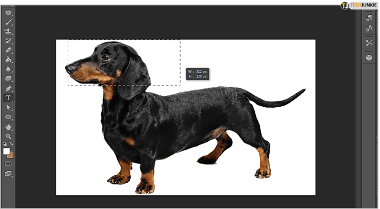 Change Units from Inches to Pixels in Adobe Photoshop - Tech Junkie