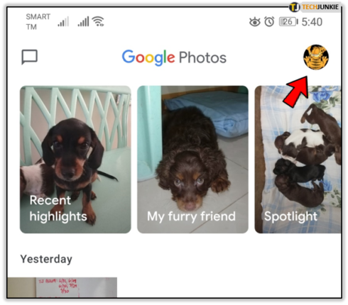 How to Tag Someone in Google Photos - Tech Junkie
