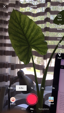 How to Do the Ripple Effect in TikTok - Tech Junkie