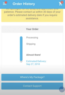How to Use Apple Pay on the Wish App - Tech Junkie