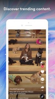 The Ultimate TikTok Slow Motion Compilation [September 2020] - Tech Junkie