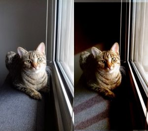 How to Fake Golden Hour on Picsart - Tech Junkie