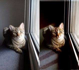 How to Fake Golden Hour on Picsart - Tech Junkie