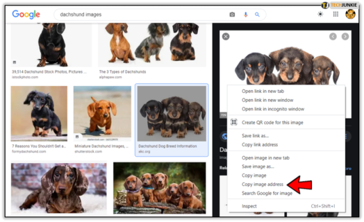 How to Copy and Get a Link to Any Online Image Embedded in a Website ...
