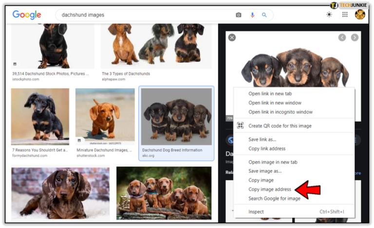 How to Copy and Get a Link to Any Online Image Embedded in a Website ...