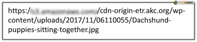 How to Copy and Get a Link to Any Online Image Embedded in a Website ...