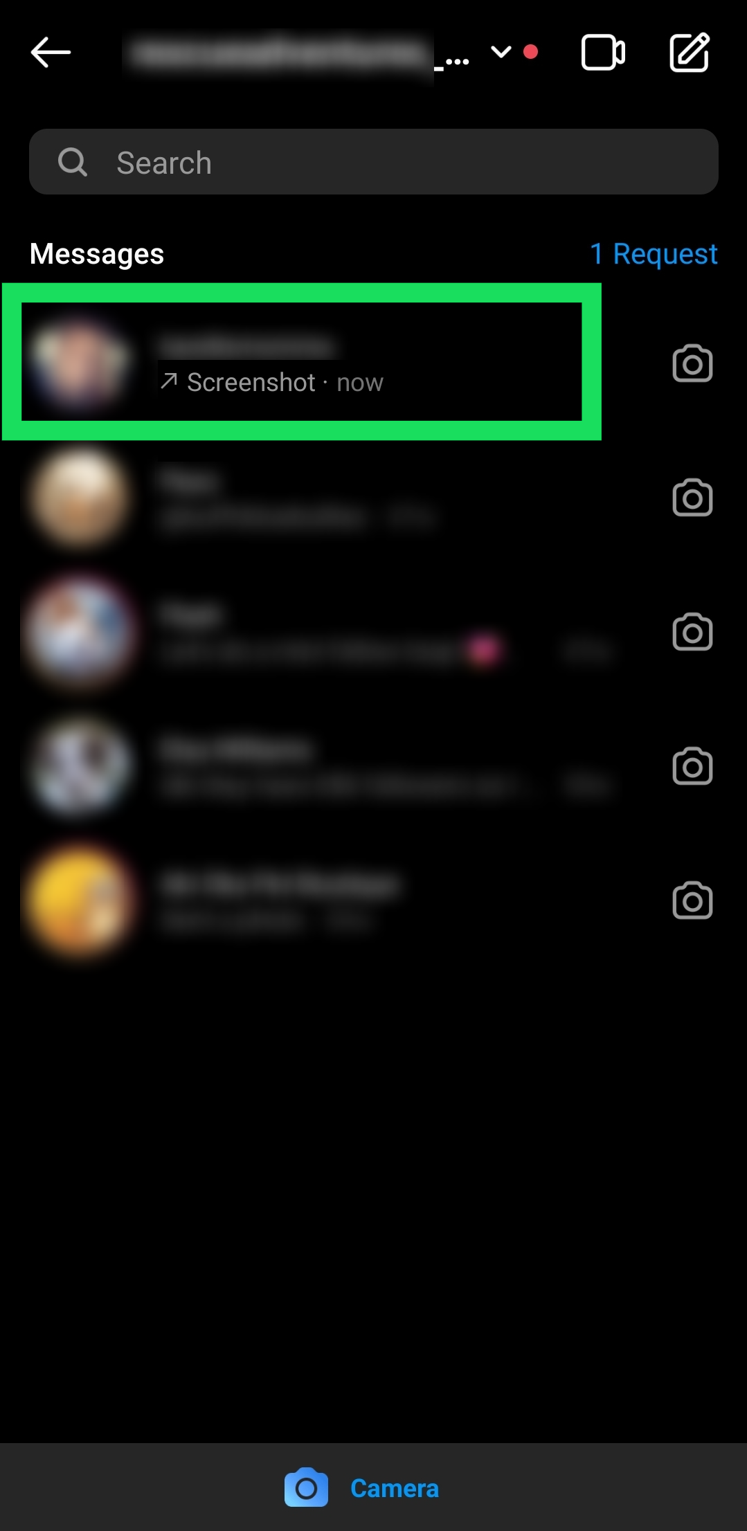 Does Instagram Notify the Other Person If You Take a Screenshot of a DM ...