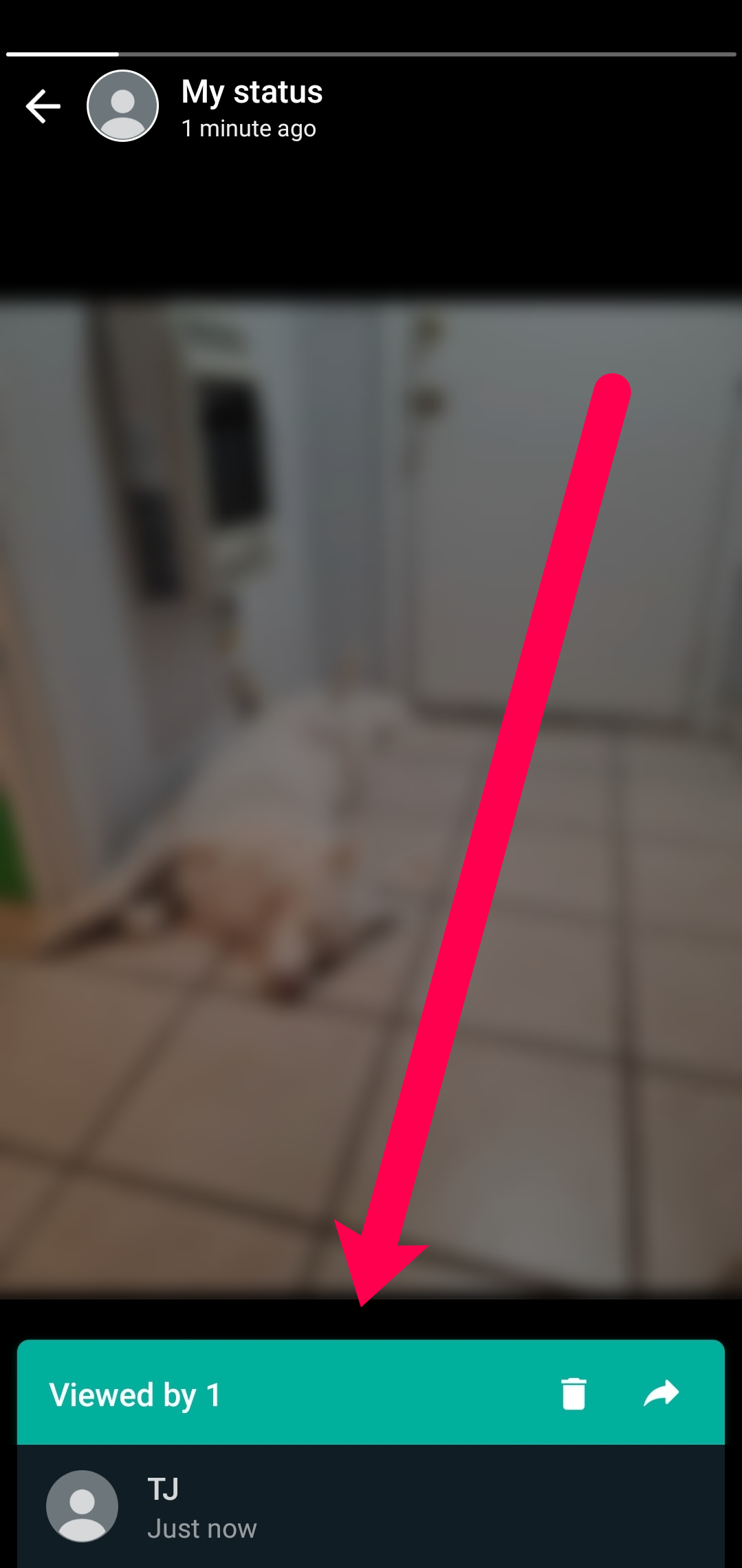 How To See Who Viewed your WhatsApp Status - Tech Junkie