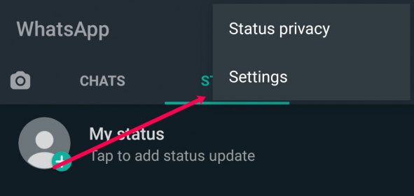 How To See Who Viewed your WhatsApp Status - Tech Junkie