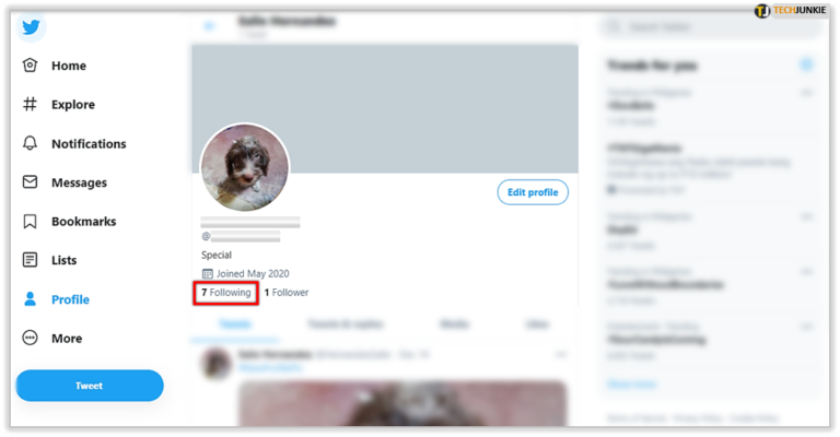 How to Find Who I Am Following in Twitter - Tech Junkie