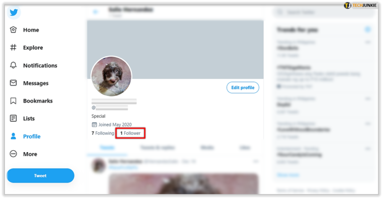 How to Find Who I Am Following in Twitter - Tech Junkie