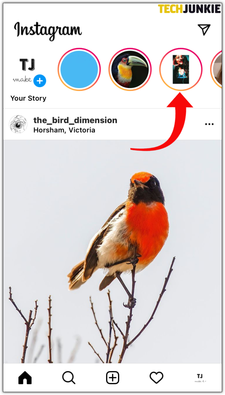 How to Block Someone's Stories on Instagram - Tech Junkie