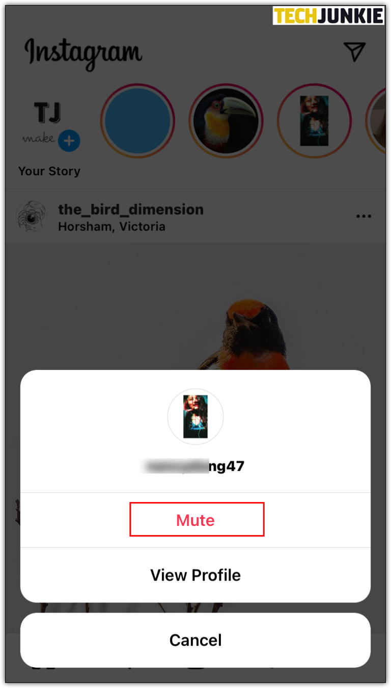 How to Block Someone's Stories on Instagram - Tech Junkie
