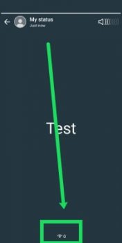 How To Tell Who Viewed Your WhatsApp Profile - Tech Junkie