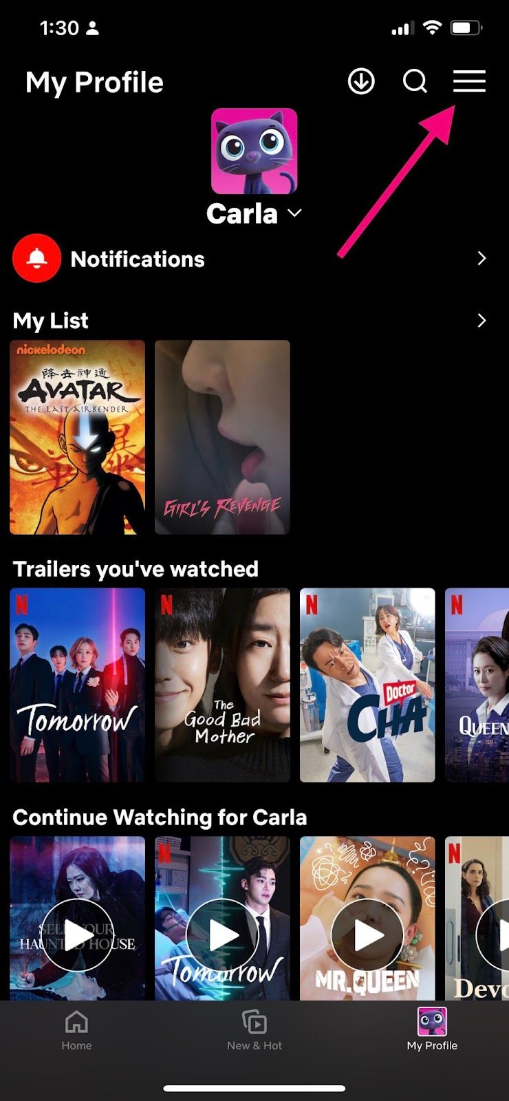 How to Delete Your Netflix Account - Tech Junkie