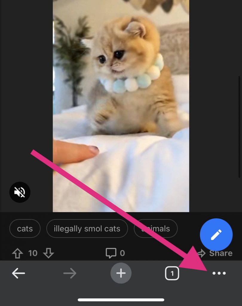 How to View Saved Passwords in Google Chrome - Tech Junkie