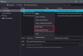 How to Delete a Specific Site’s Cookies and History - Tech Junkie