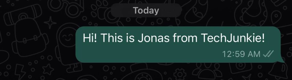 How to Know if Your WhatsApp Message Was Read - Tech Junkie
