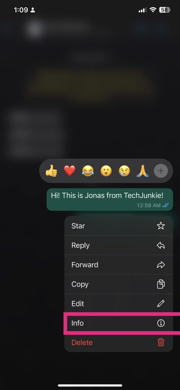 How to Know if Your WhatsApp Message Was Read - Tech Junkie