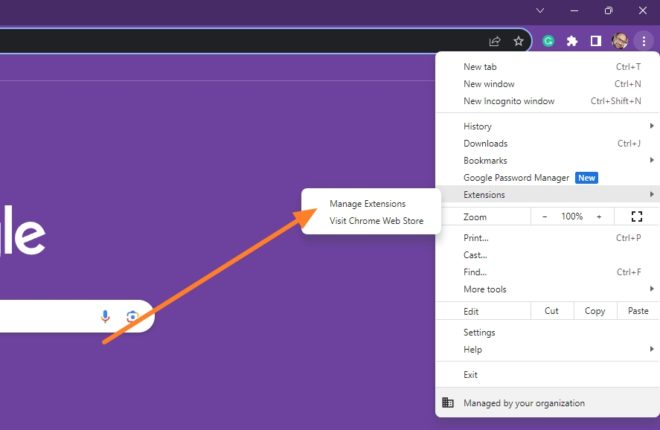 Top Fixes for Screen Sharing Not Working In Google Meet - Tech Junkie