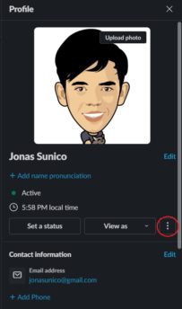 How to Find Your Slack Channel ID, Team ID, and User ID - Tech Junkie