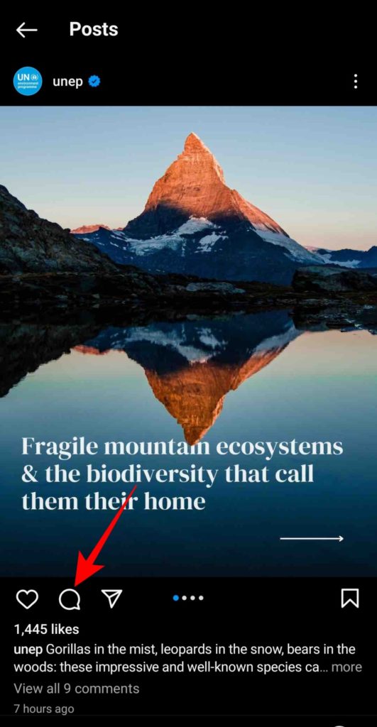 How to Use GIFs in Instagram Comment - Tech Junkie