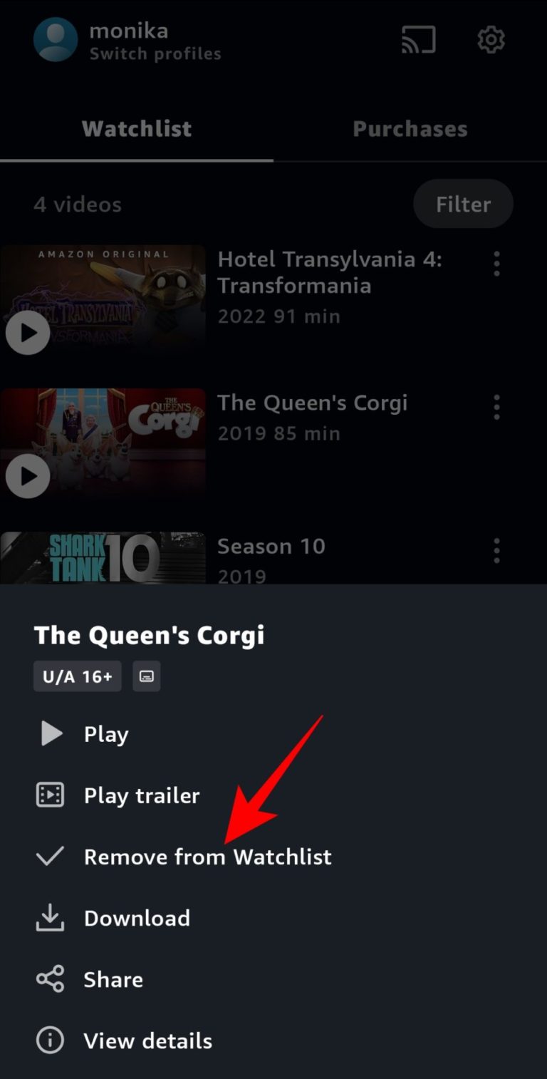 How To Remove Videos from Continue Watching and Watchlist on Prime Video - Tech Junkie