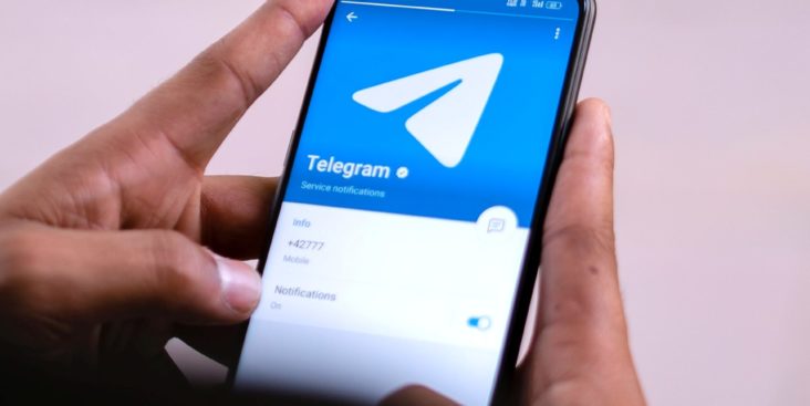 How to Know If Someone Read Your Message on Telegram? - Tech Junkie